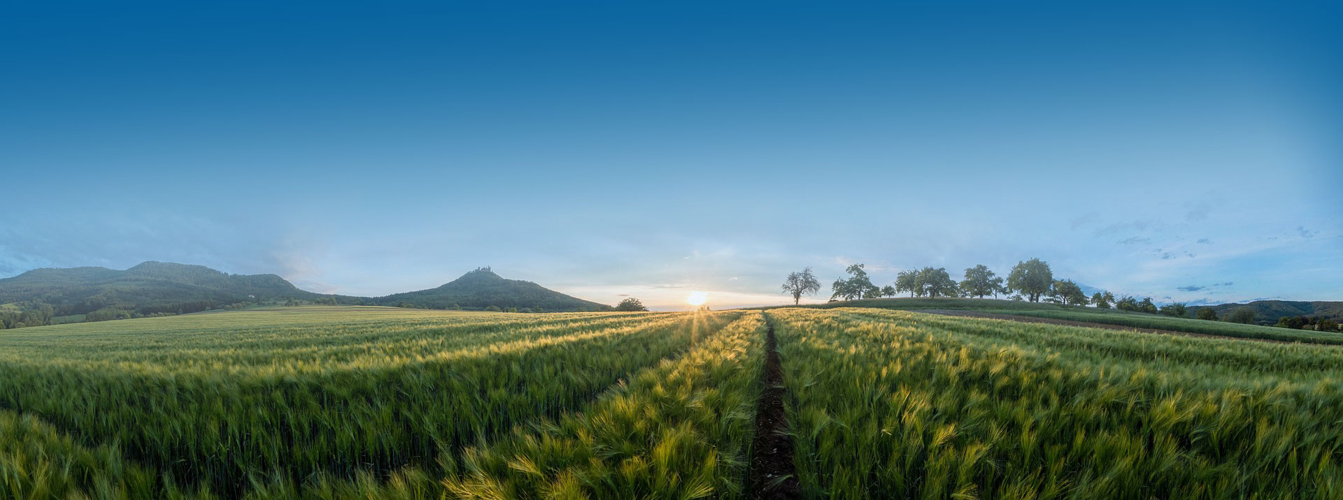 Wefarm – We farm, You eat